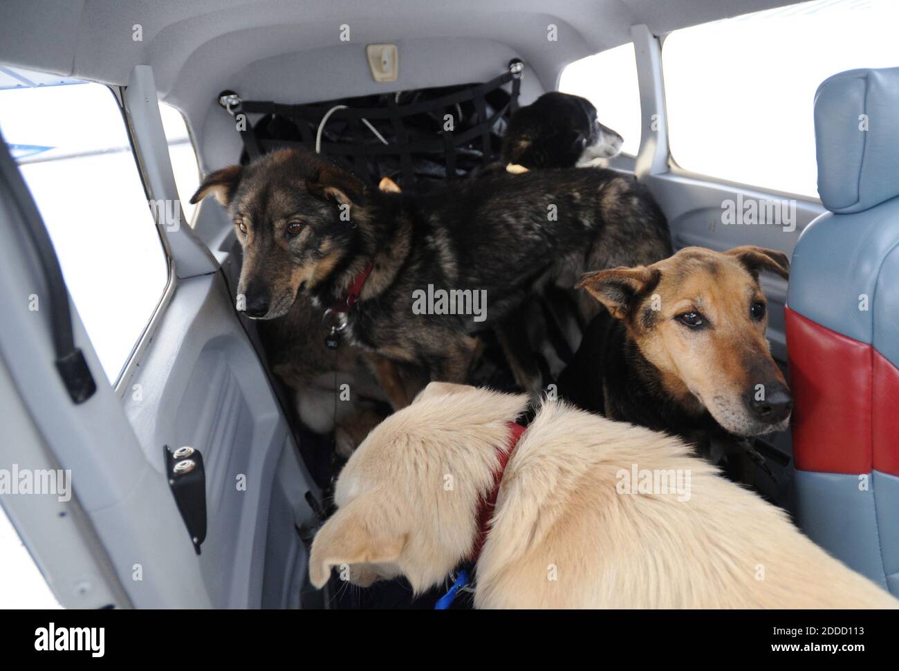 Dropped sled dogs hi-res stock photography and images - Alamy