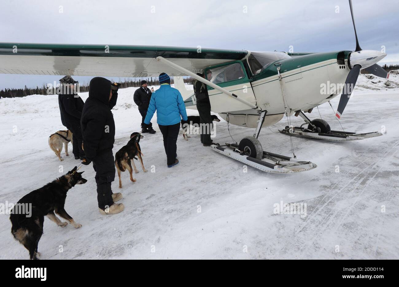 Dropped sled dogs hi-res stock photography and images - Alamy