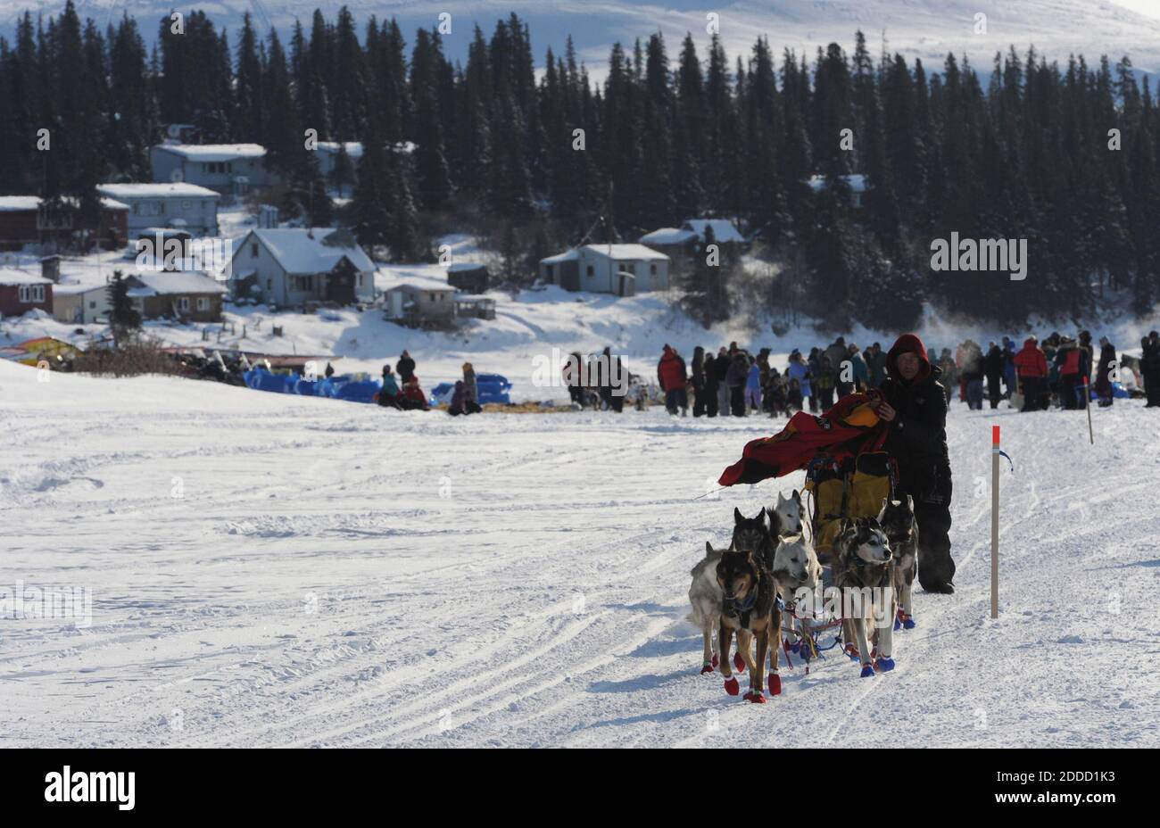 Alaska finish line sled dog iditarod musher hi-res stock photography ...