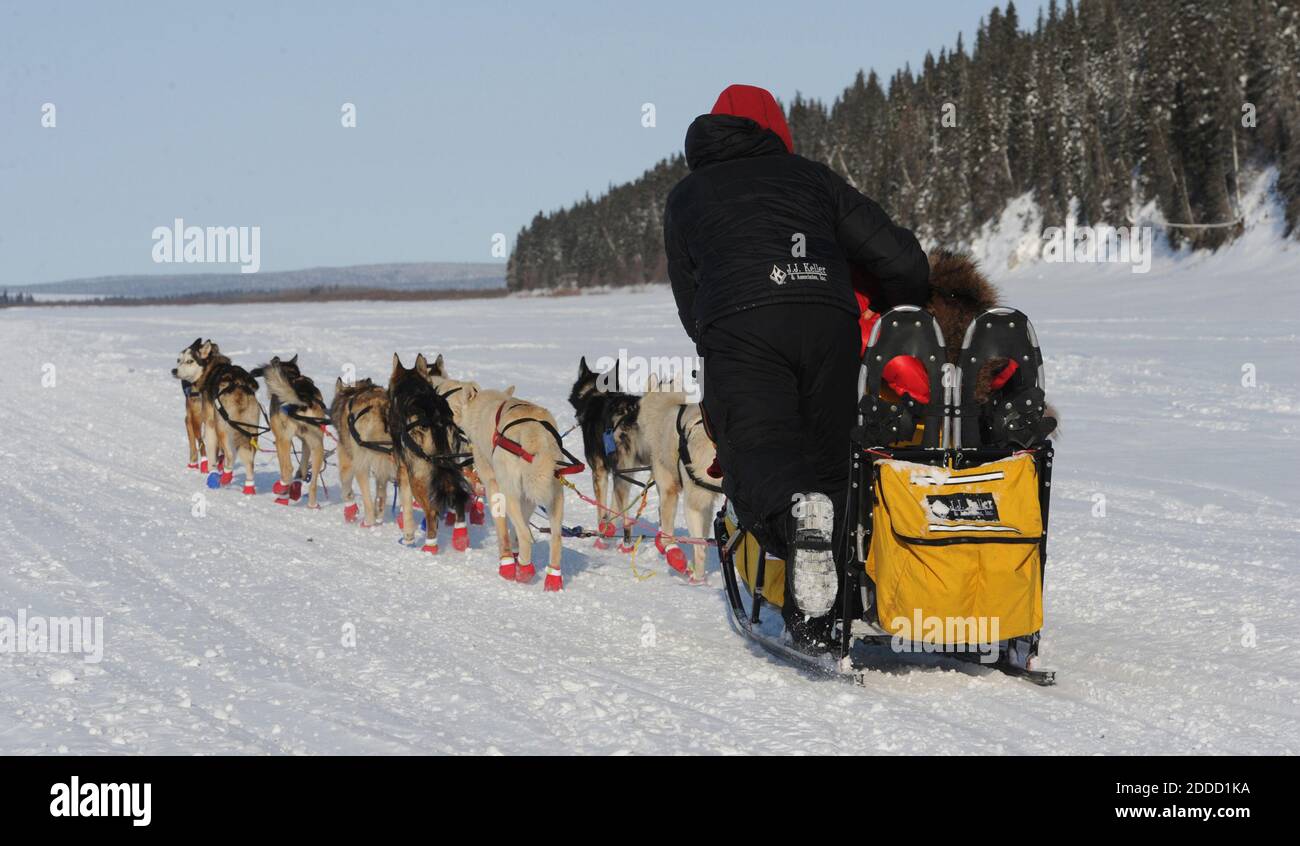Alaska finish line sled dog iditarod musher hi-res stock photography ...