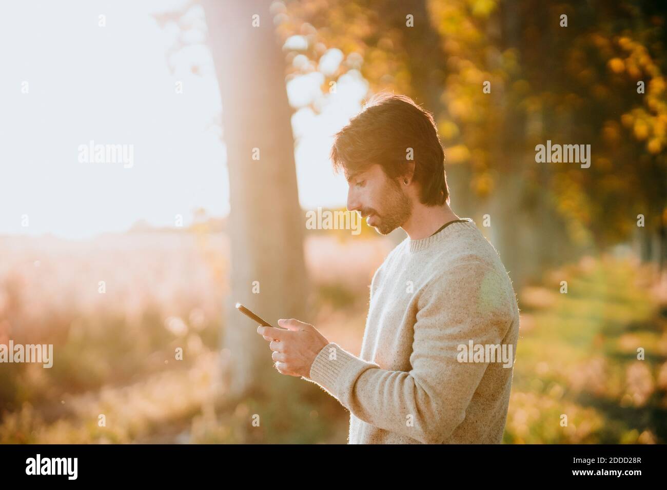 Man standing using phone hi-res stock photography and images - Alamy
