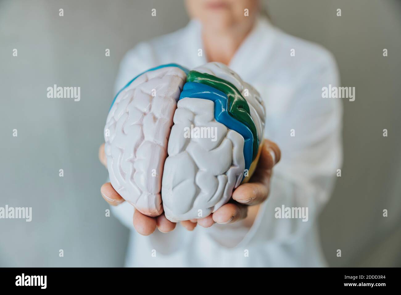 Female scientist showing artificial human brain while standing at ...