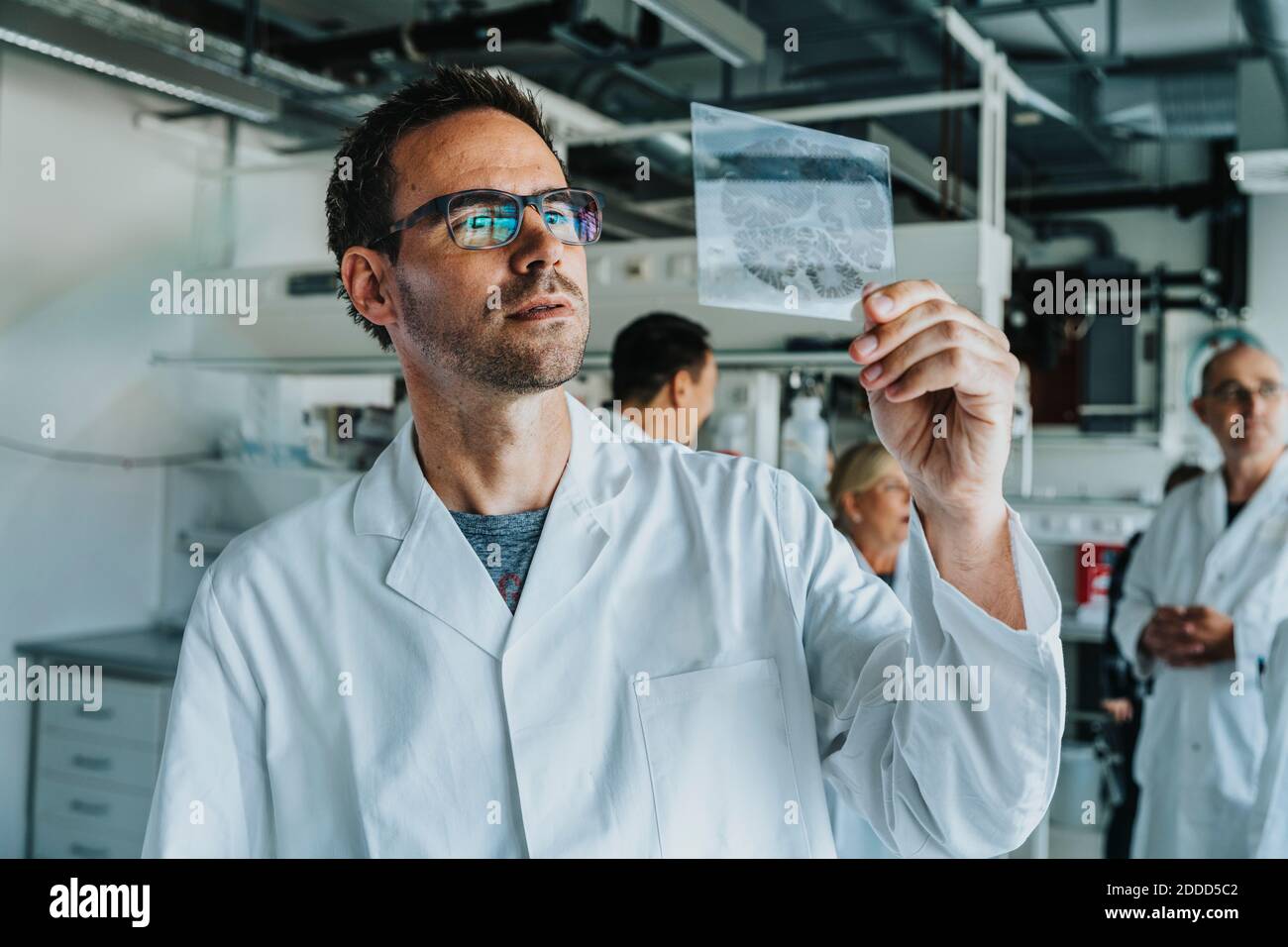 Human nervous system male hi-res stock photography and images - Alamy