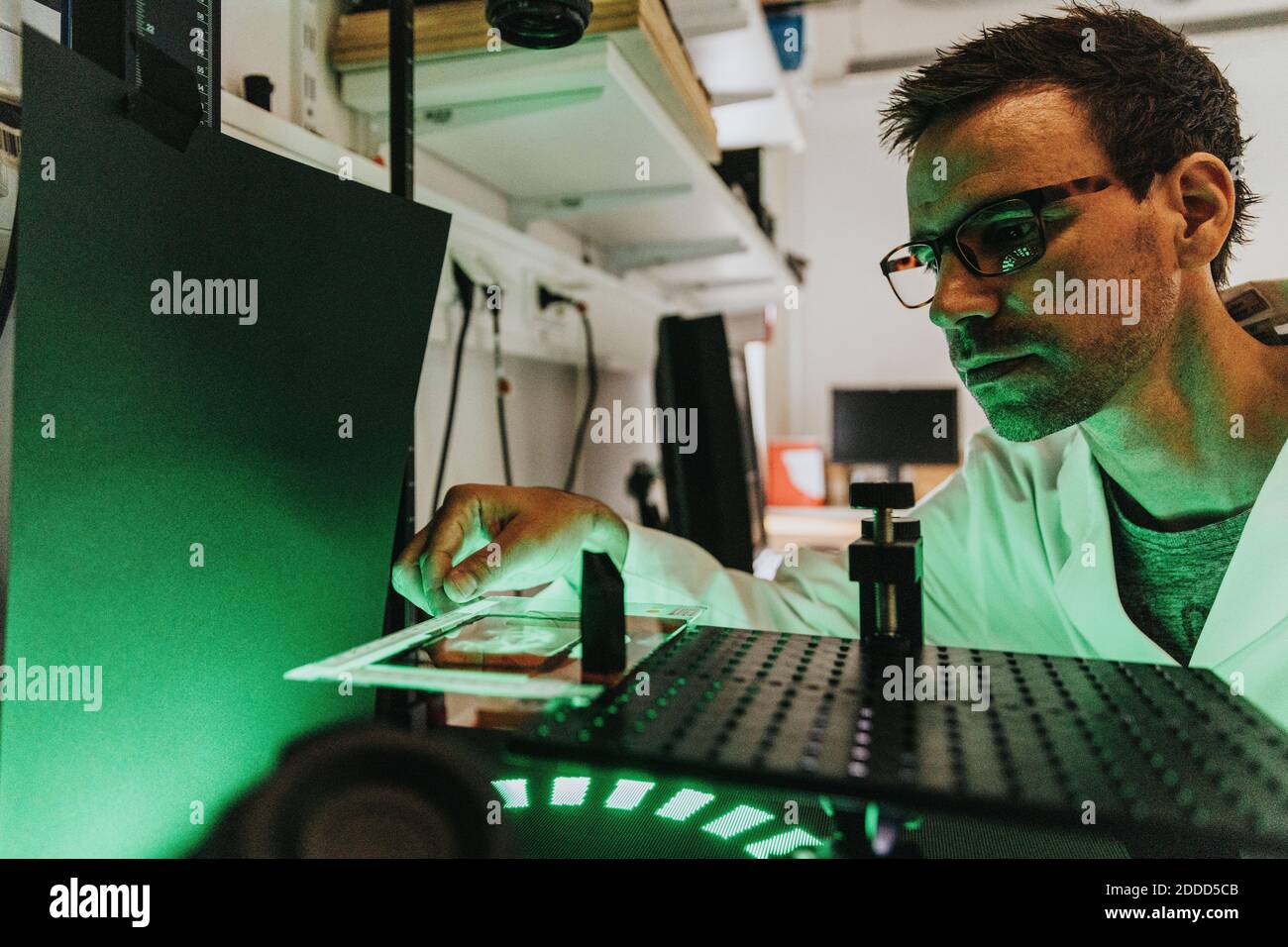 Scientist adjusting human brain slide on microscope while examining at ...