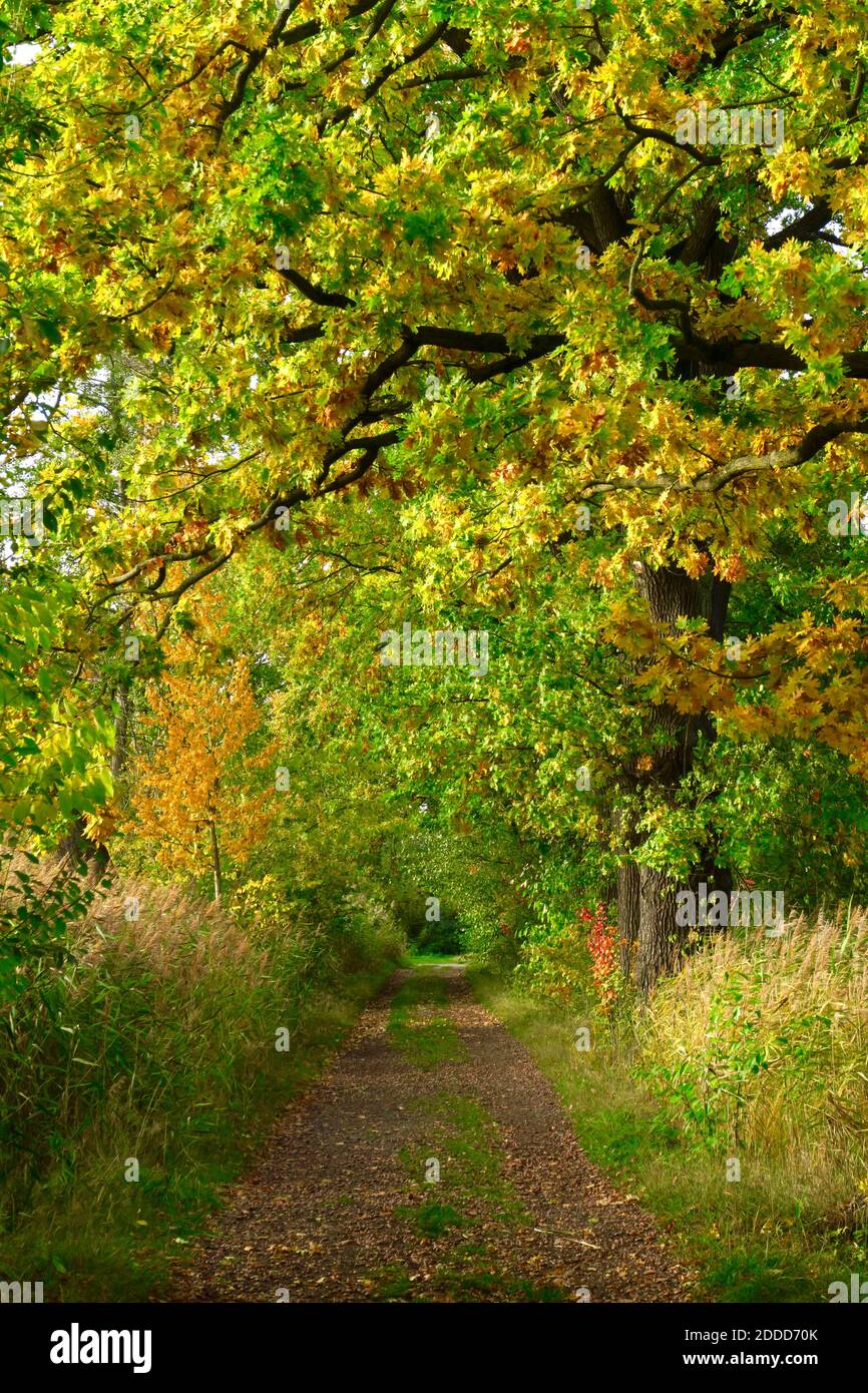 Empty trail hi-res stock photography and images - Alamy