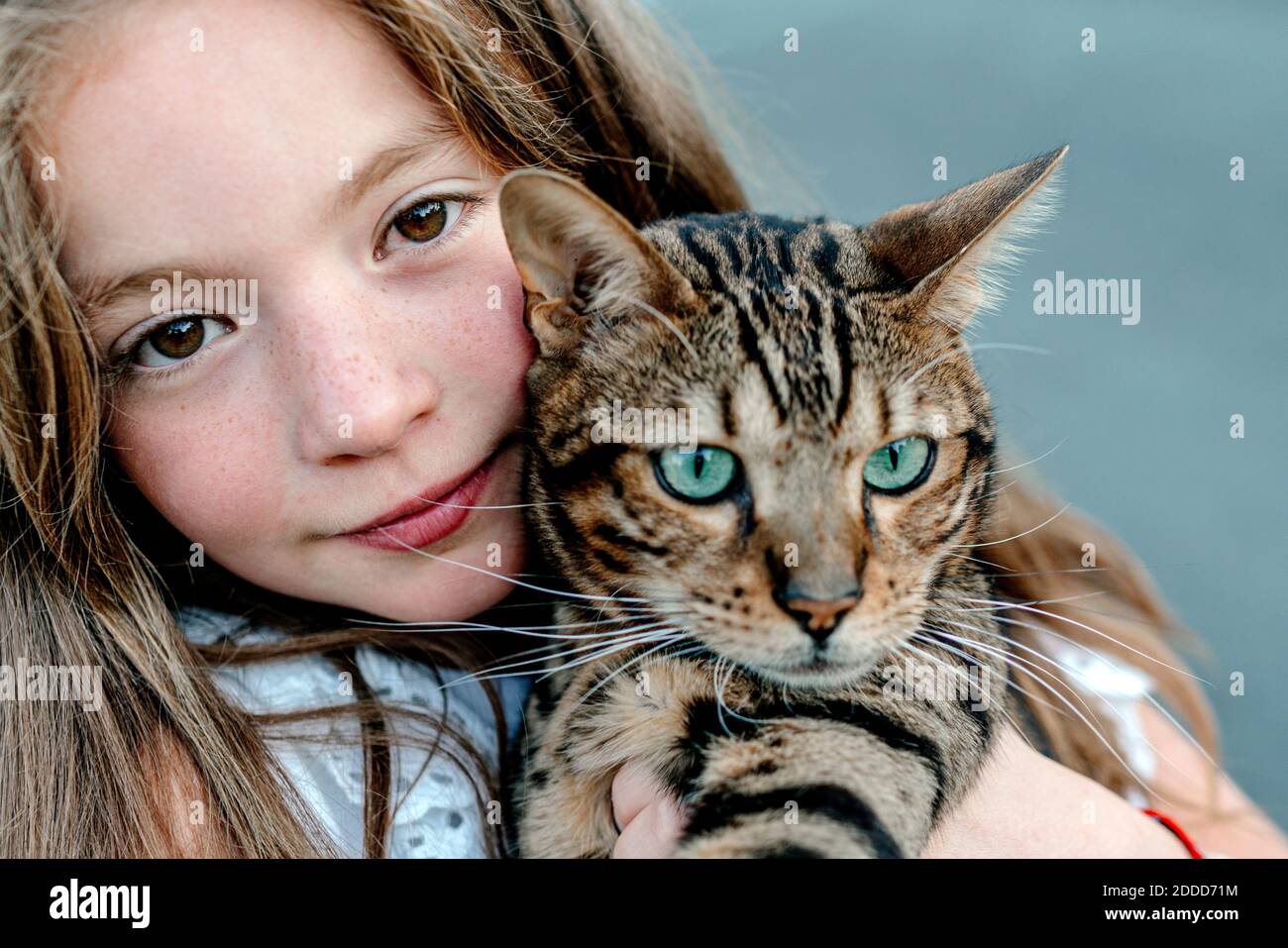 Cute girl carrying cat on sunny day Stock Photo - Alamy