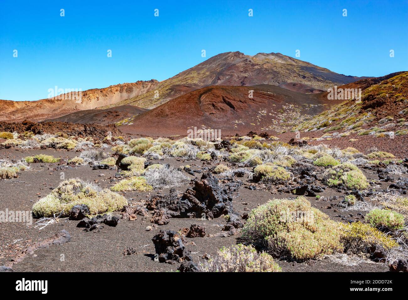 Volcanic landscape of Tenerife island Stock Photo - Alamy