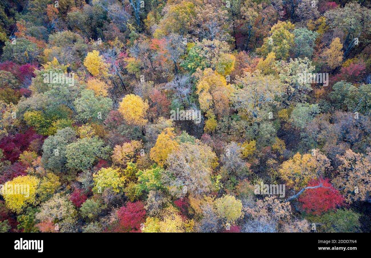 Aerial view of George Washington and Jefferson National Forests in ...