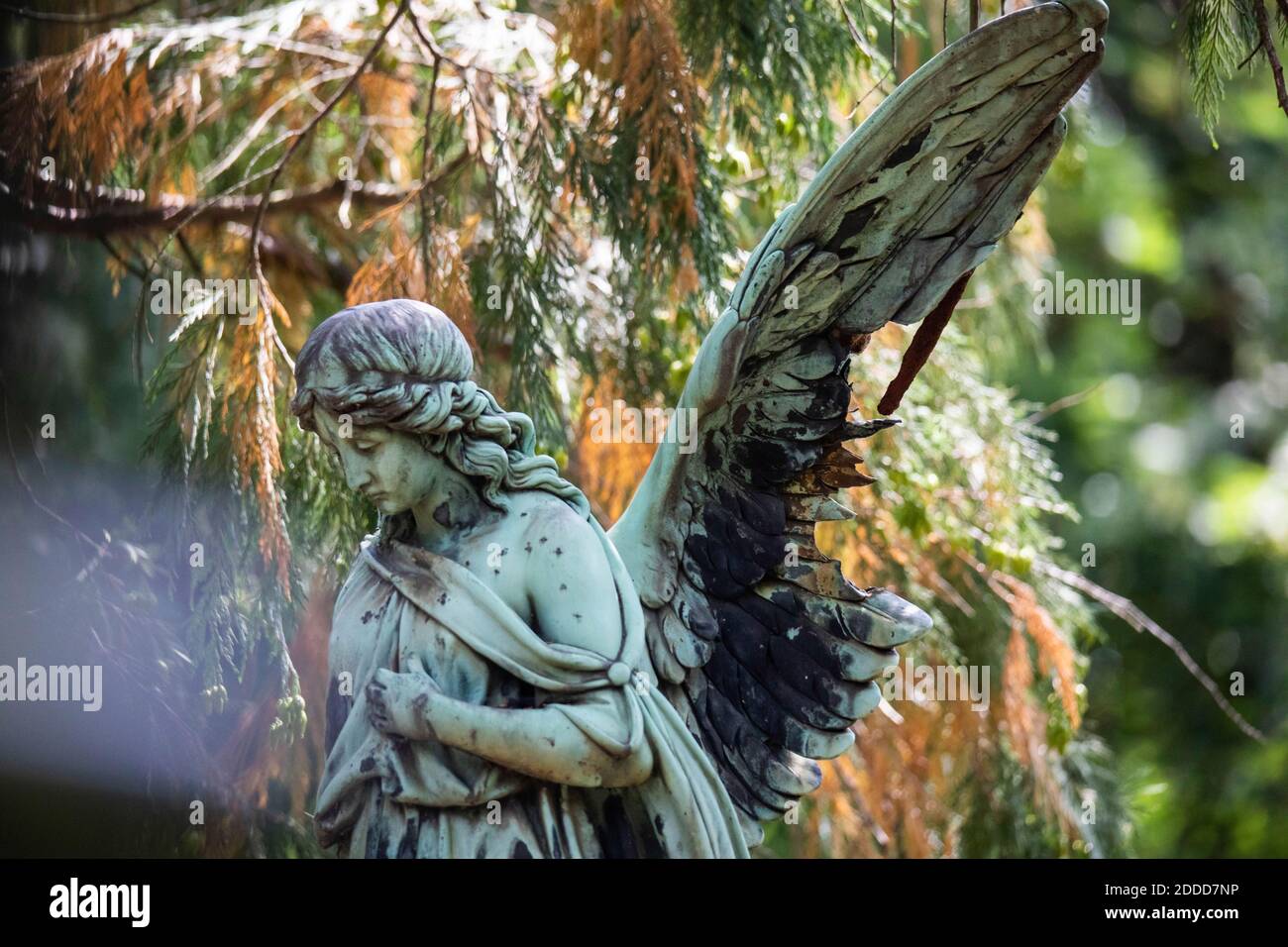 Weathered statue of angel standing outdoors Stock Photo - Alamy