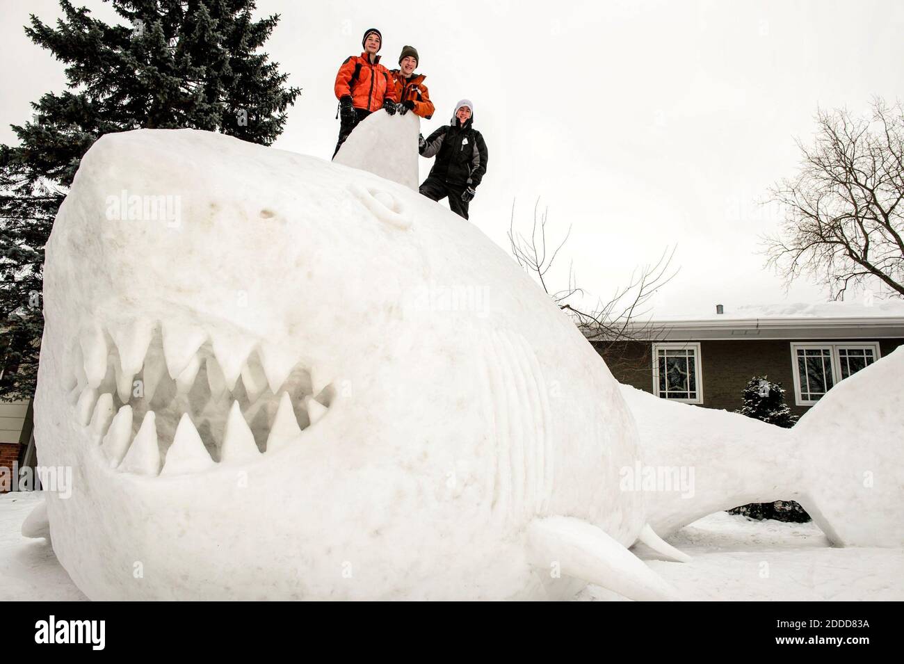 Shark Made Out Of Snow