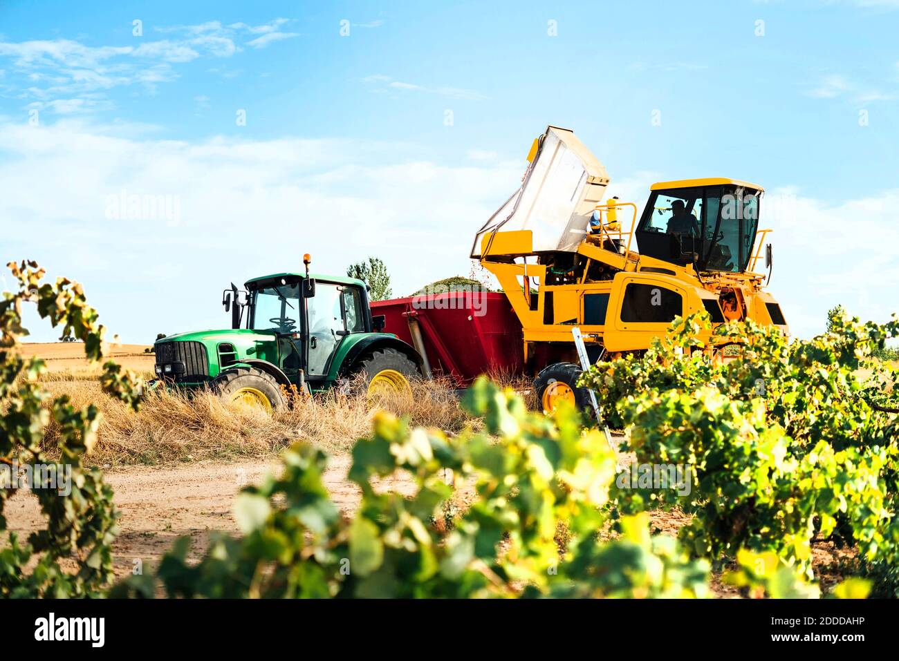 Grape harvester hi-res stock photography and images - Alamy