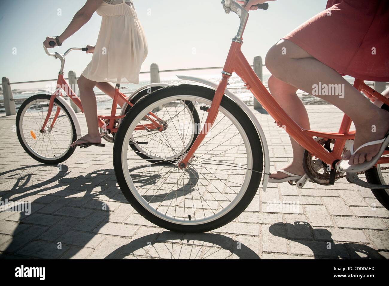 Cycling with friends hi-res stock photography and images - Alamy