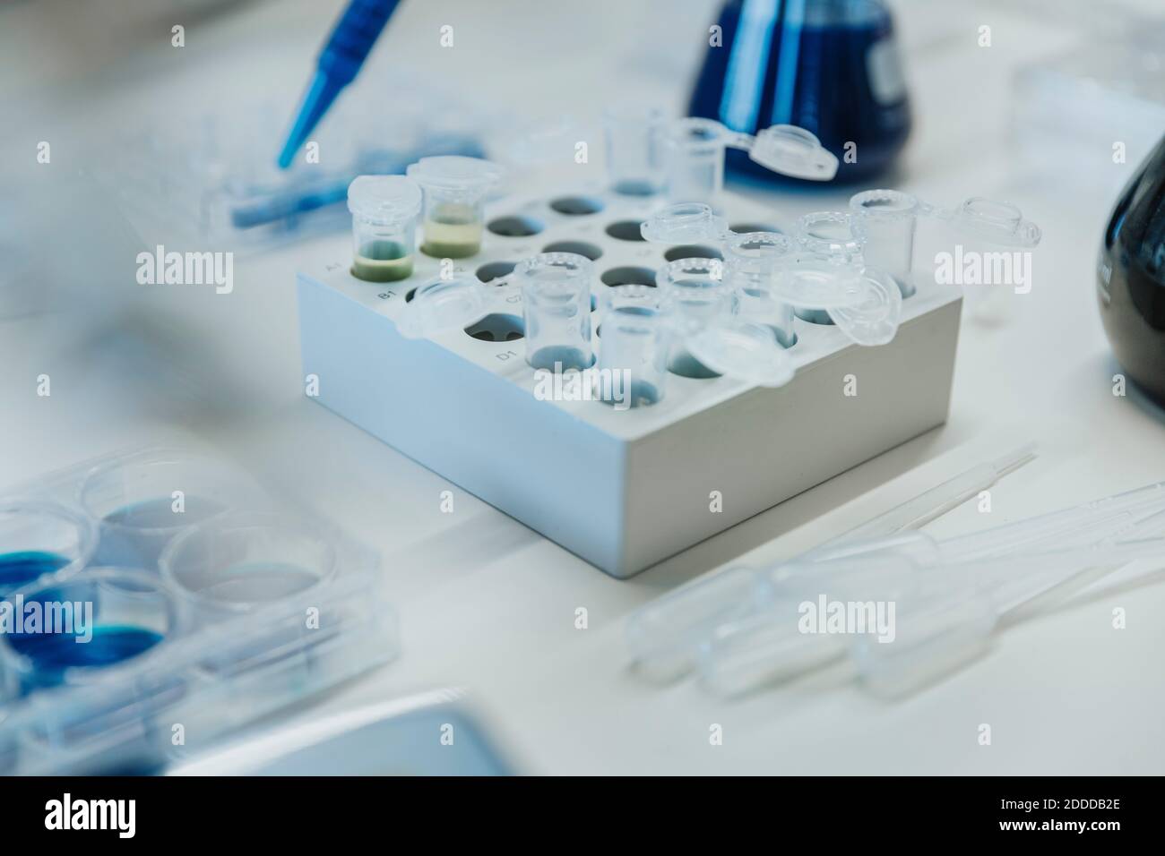 Woman filling liquid in test tube plate at laboratory Stock Photo - Alamy