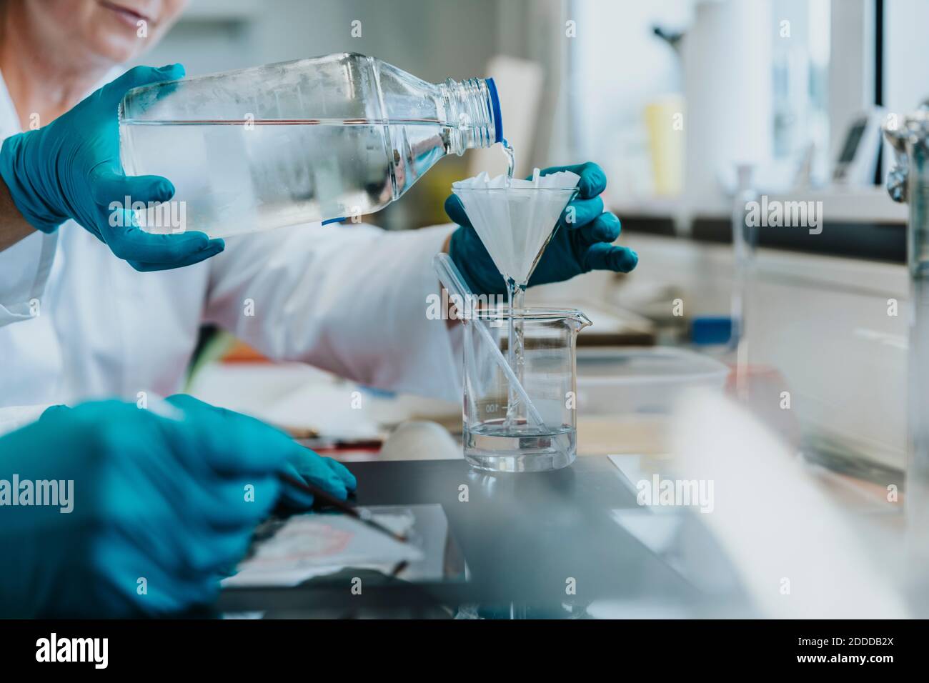 Scientist pouring filtering liquid while standing at laboratory Stock ...