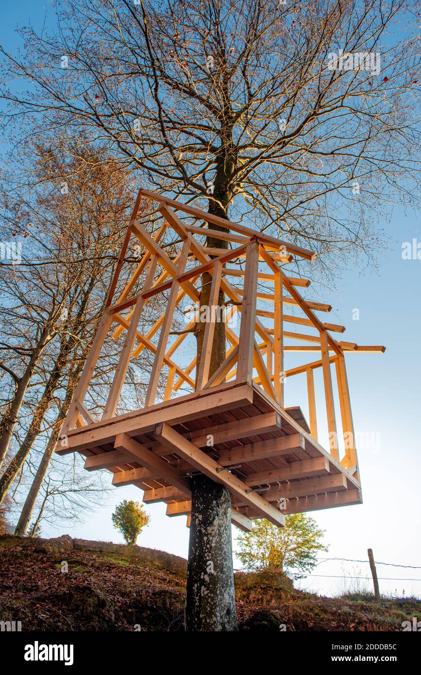 building a house in a tree Stock Photo - Alamy