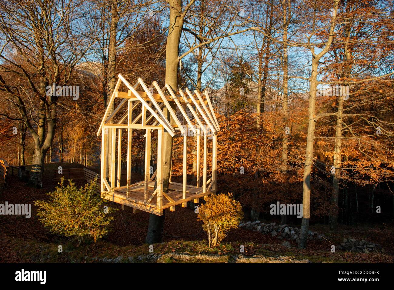 building a house in a tree Stock Photo - Alamy