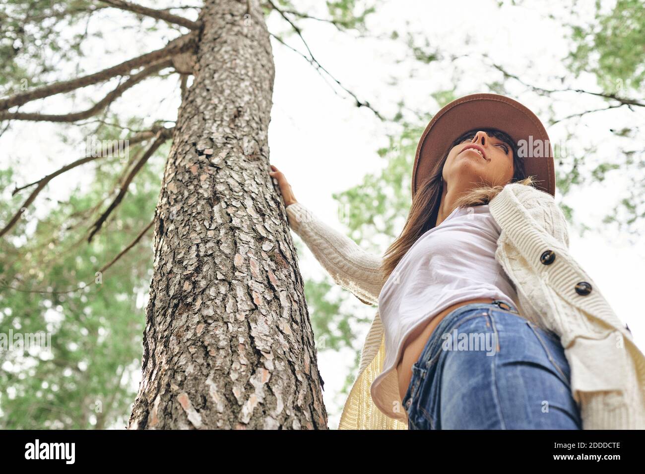 Woman standing at tree hi-res stock photography and images - Alamy
