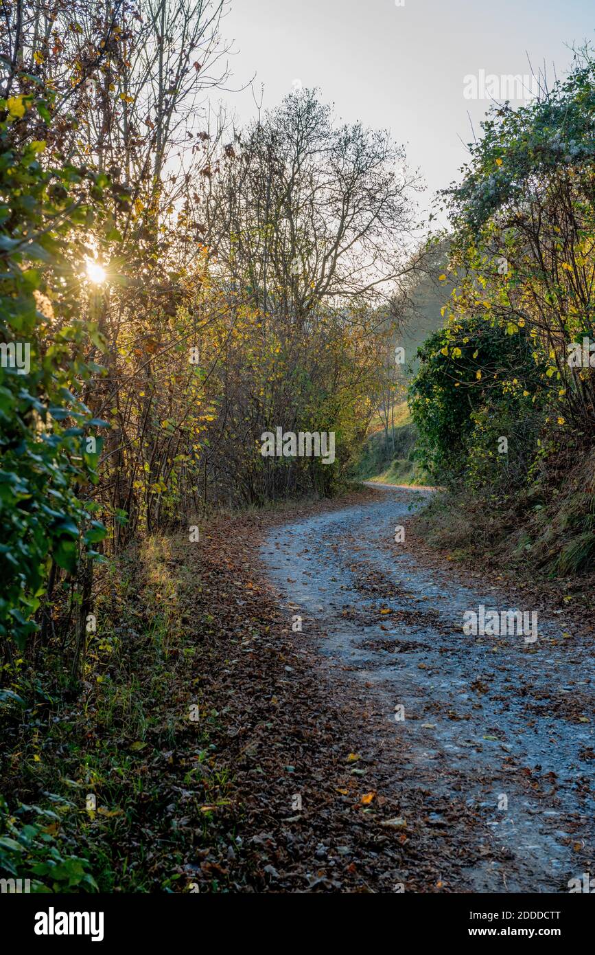 Forked pathway hi-res stock photography and images - Alamy
