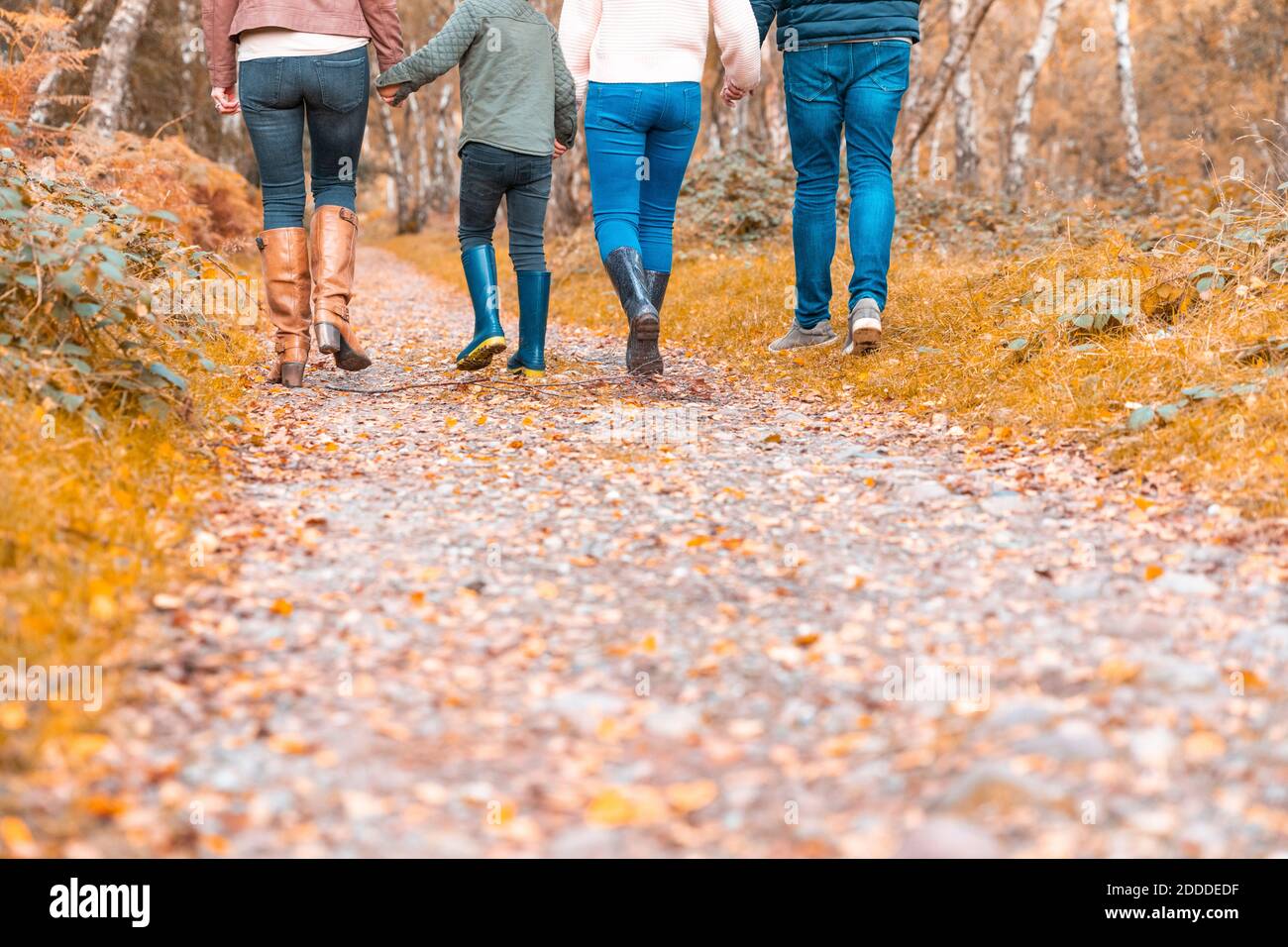 Group walking in park autumn hi-res stock photography and images - Alamy