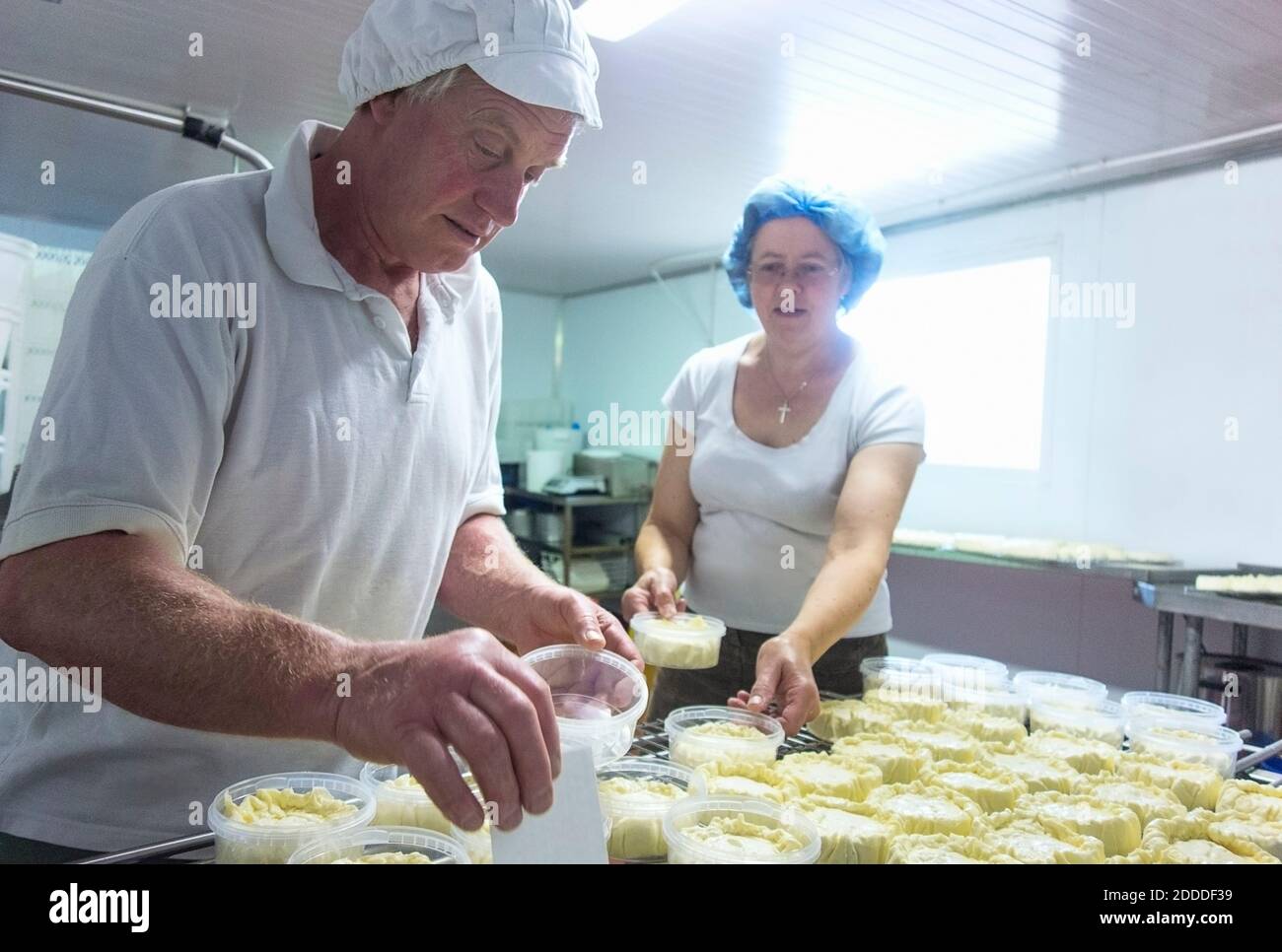 Man packing cheese in box while standing with colleague at dairy Stock ...