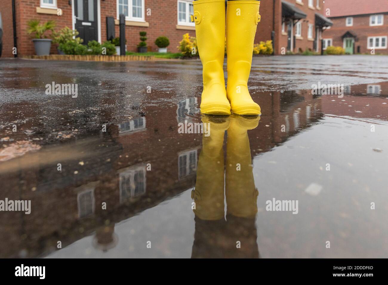 Close-up of woman standing in water puddle during rainy season Stock ...