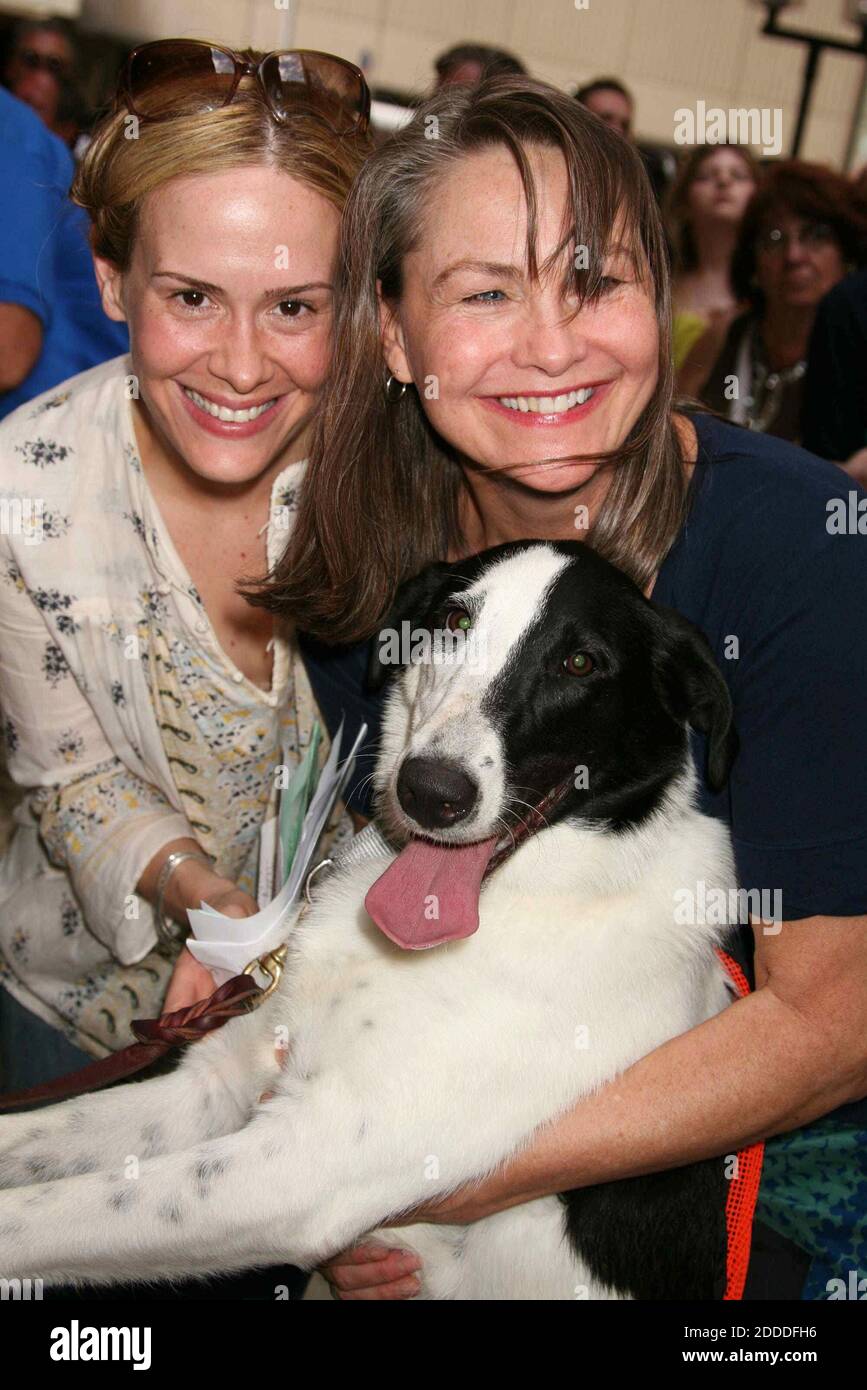 Sarah Paulson and Cherry Jones attend Broadway Barks 8!, a dog and cat ...