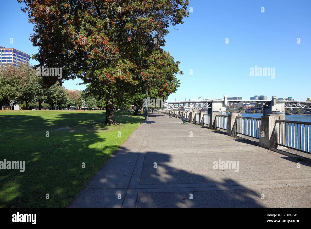 Portland, Oregon: Tom McCall Waterfront Park along the Willamette river ...