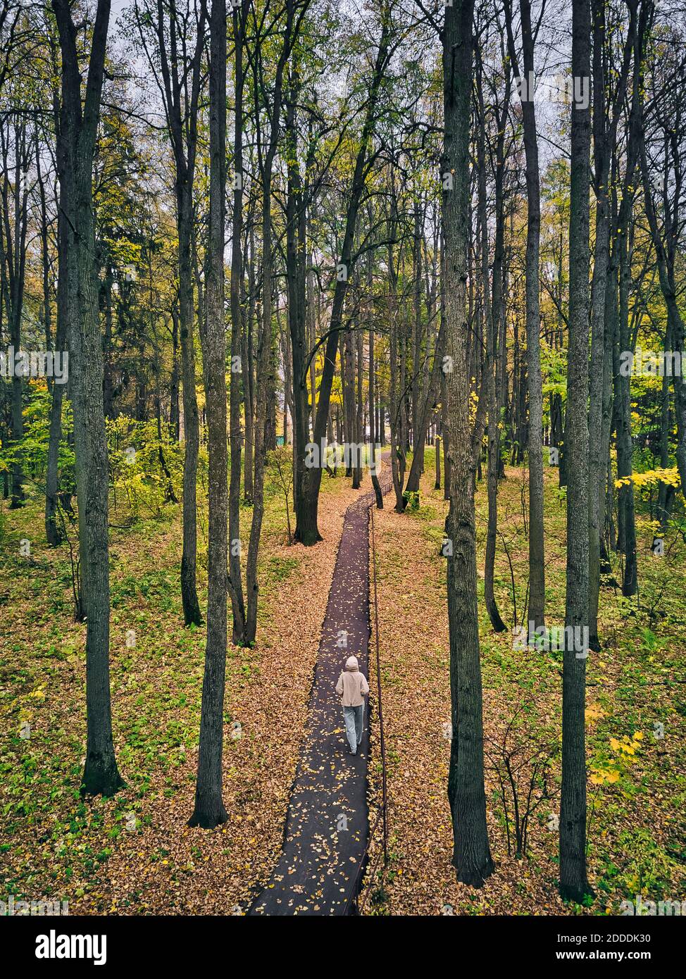 Walk in he park hi-res stock photography and images - Alamy