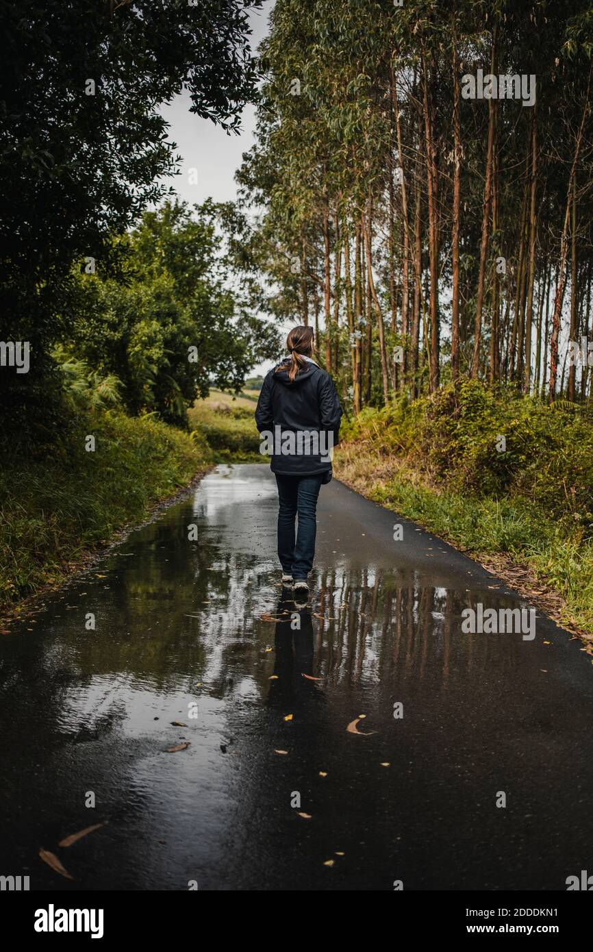 Rear view of woman walking on wet footpath during rainy season Stock ...