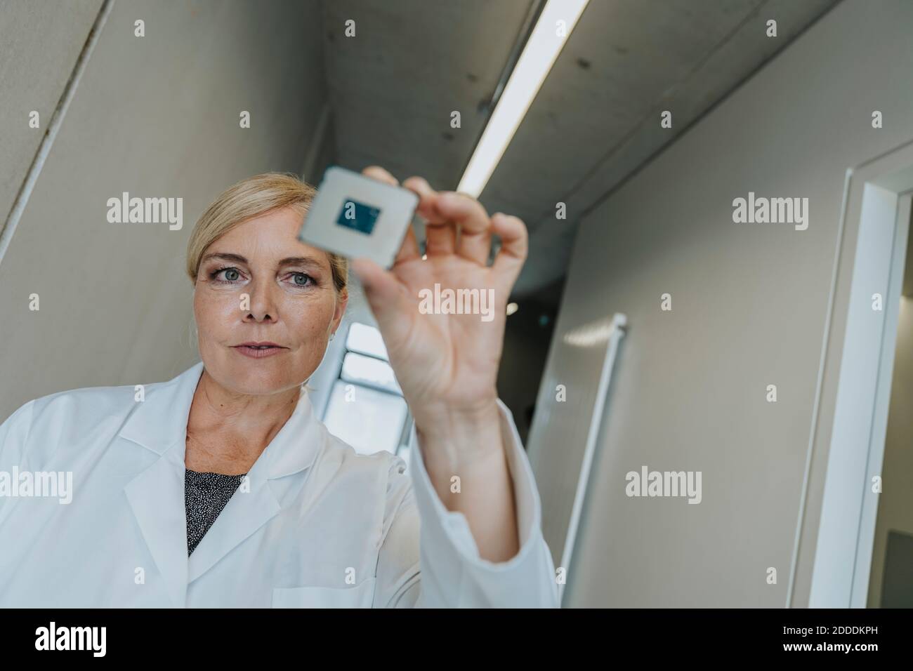 Blond scientist holding computer chip while standing at clinic corridor ...