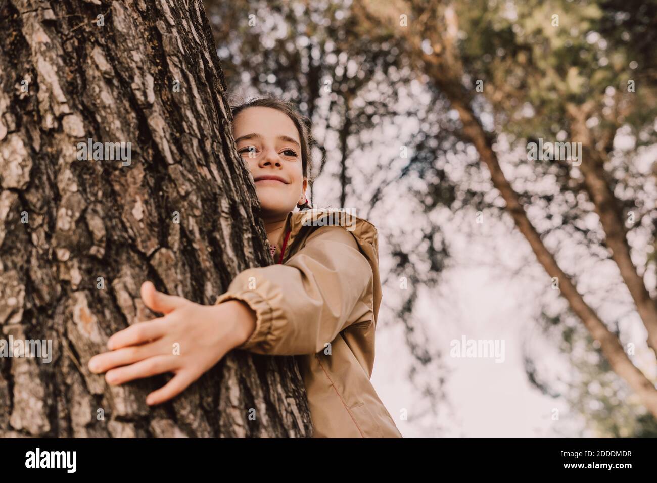 Girl looking up tree hi-res stock photography and images - Alamy