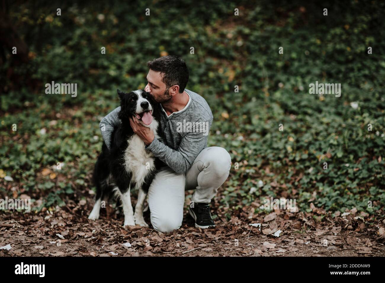 Man kissing dog hi-res stock photography and images - Alamy