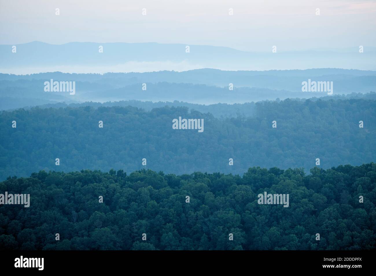 Aerial view of Appalachian forest shrouded in morning fog Stock Photo ...