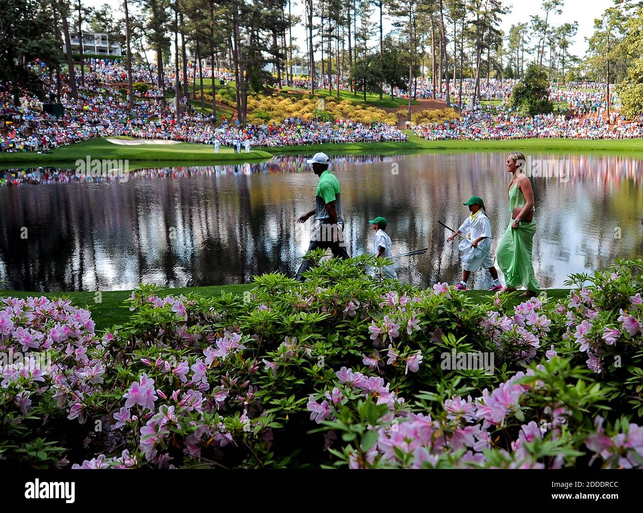 Augusta national golf club azaleas hi-res stock photography and images ...