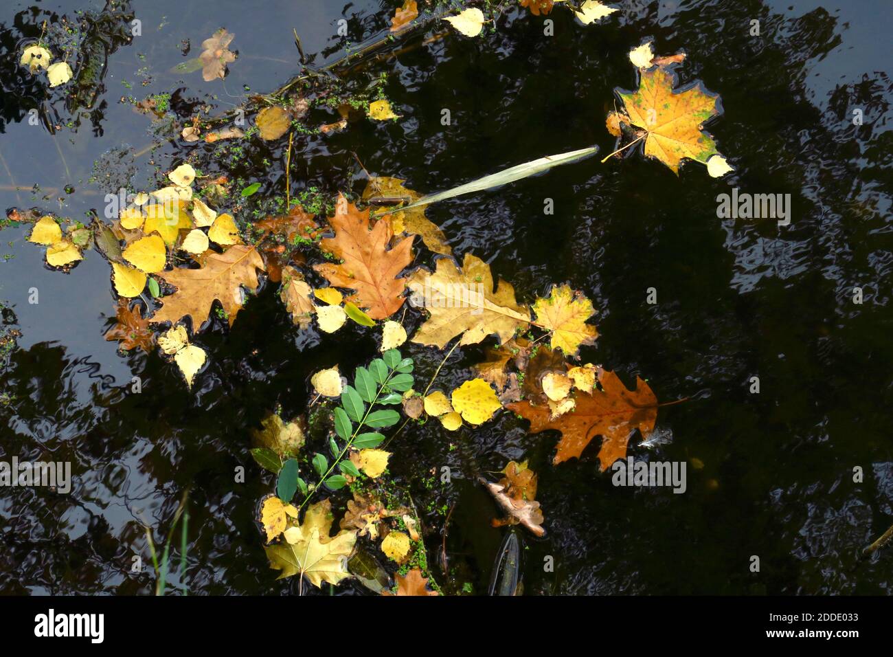 Shiny lake hi-res stock photography and images - Alamy