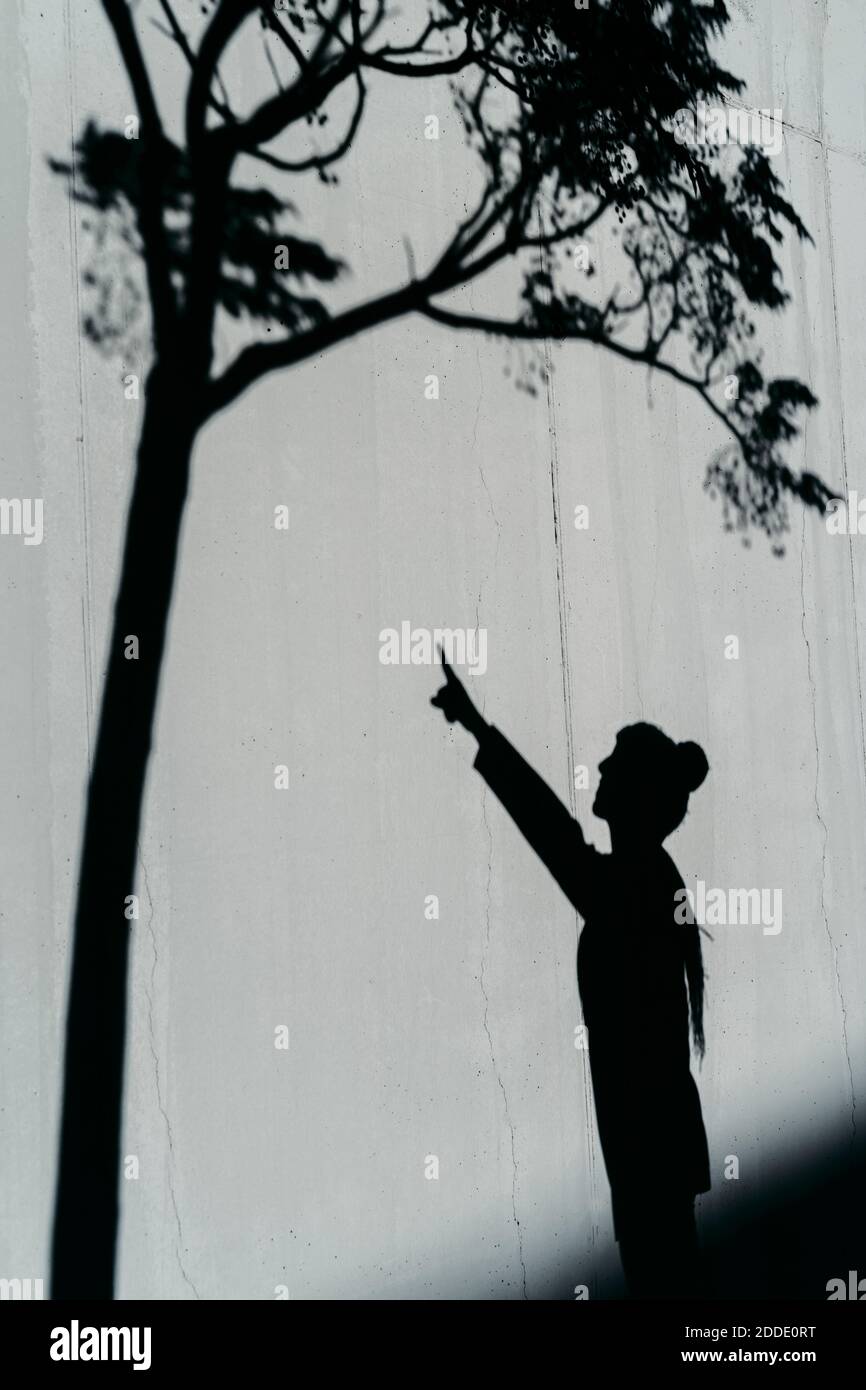 Shadow of woman pointing towards tree on gray wall Stock Photo - Alamy