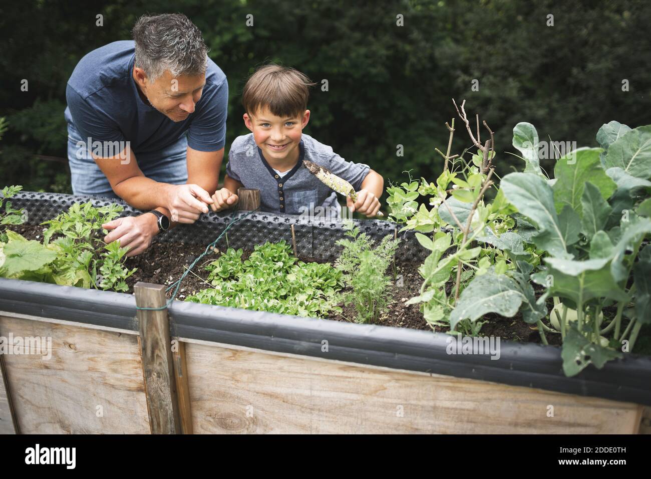 Raised bed gardening hi-res stock photography and images - Alamy