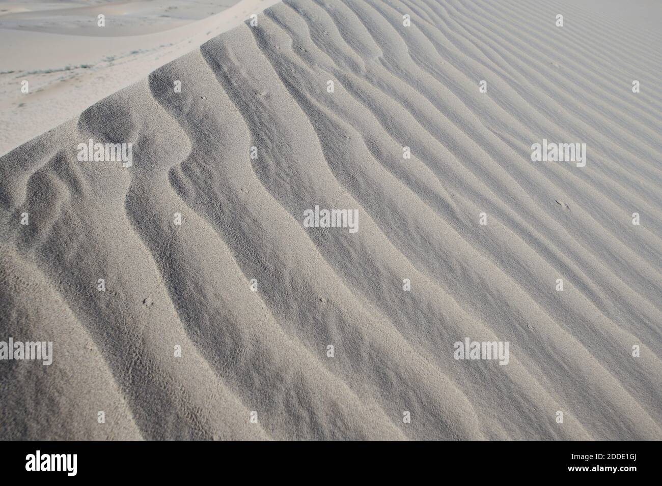 Wave pattern on white sand of Cadiz Dunes at Mojave Desert, Southern ...