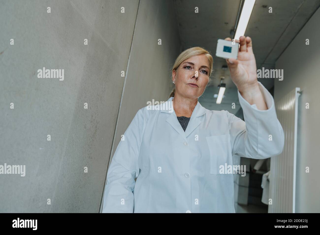 Blond female holding computer chip while standing at clinic corridor ...