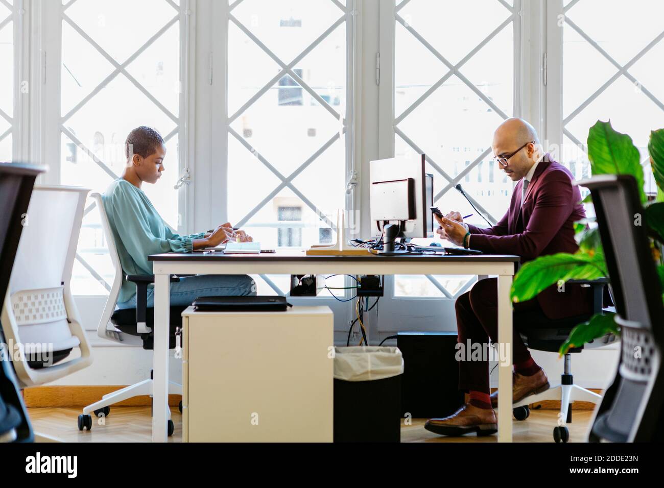 African professionals woman hi-res stock photography and images - Alamy