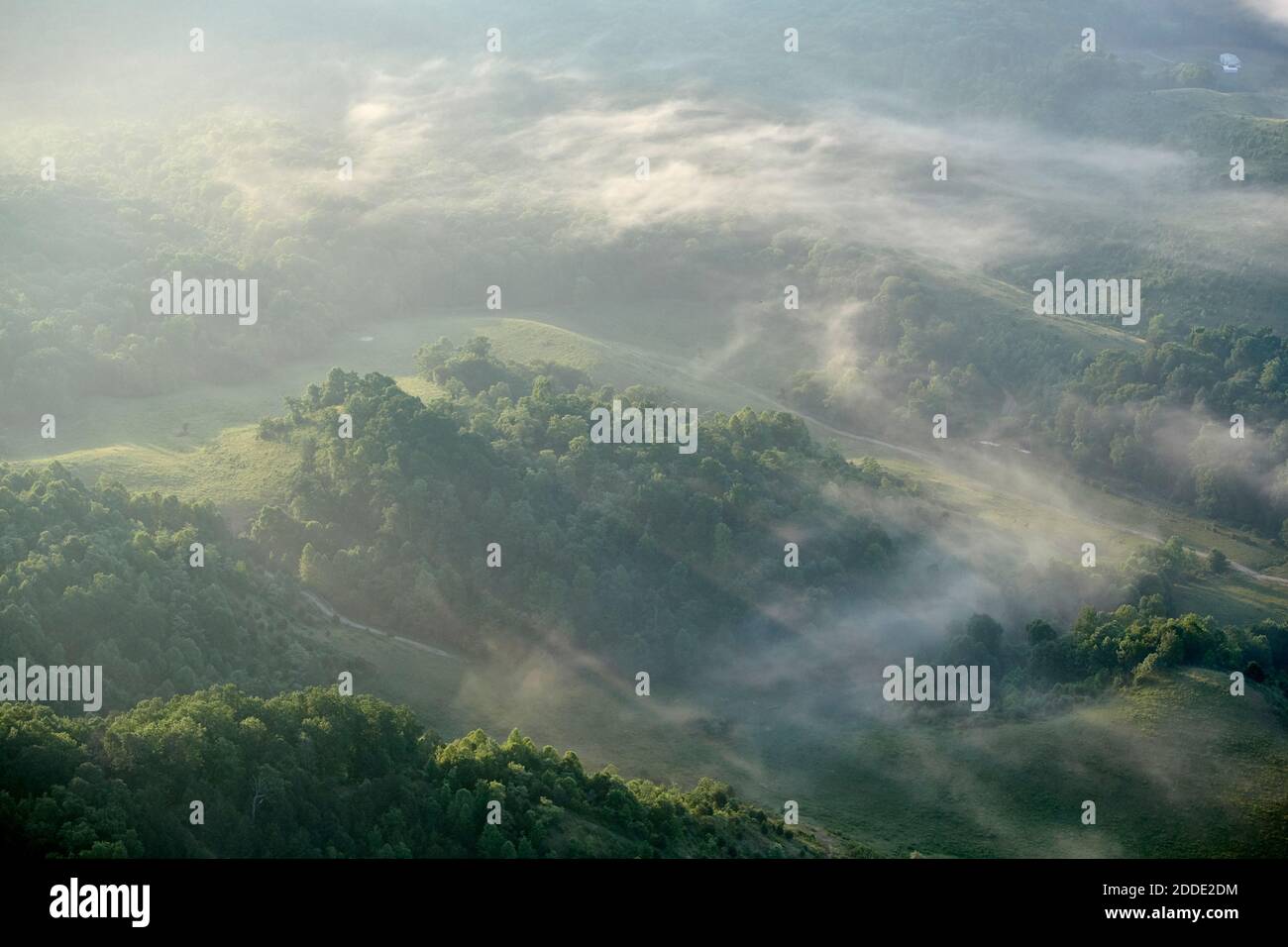 Aerial view of Appalachian forest shrouded in morning fog Stock Photo ...