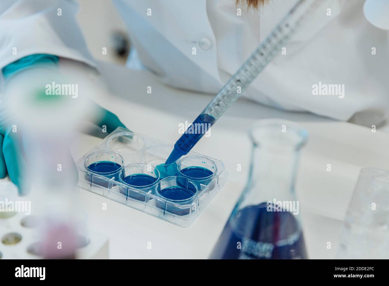 Laboratory assistant pipetting liquid in multiwell plate while standing ...
