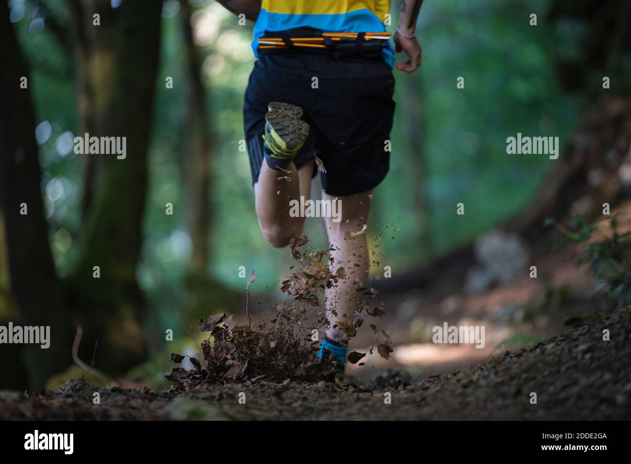Trailrunner running with speed on mountain trail at forest Stock Photo ...