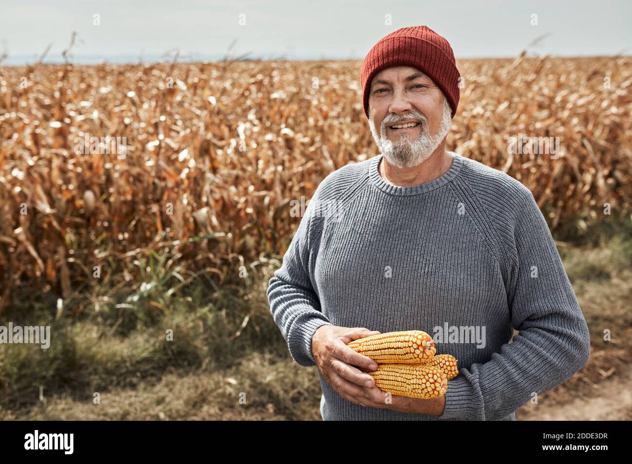 Farmer with corn hi-res stock photography and images - Alamy