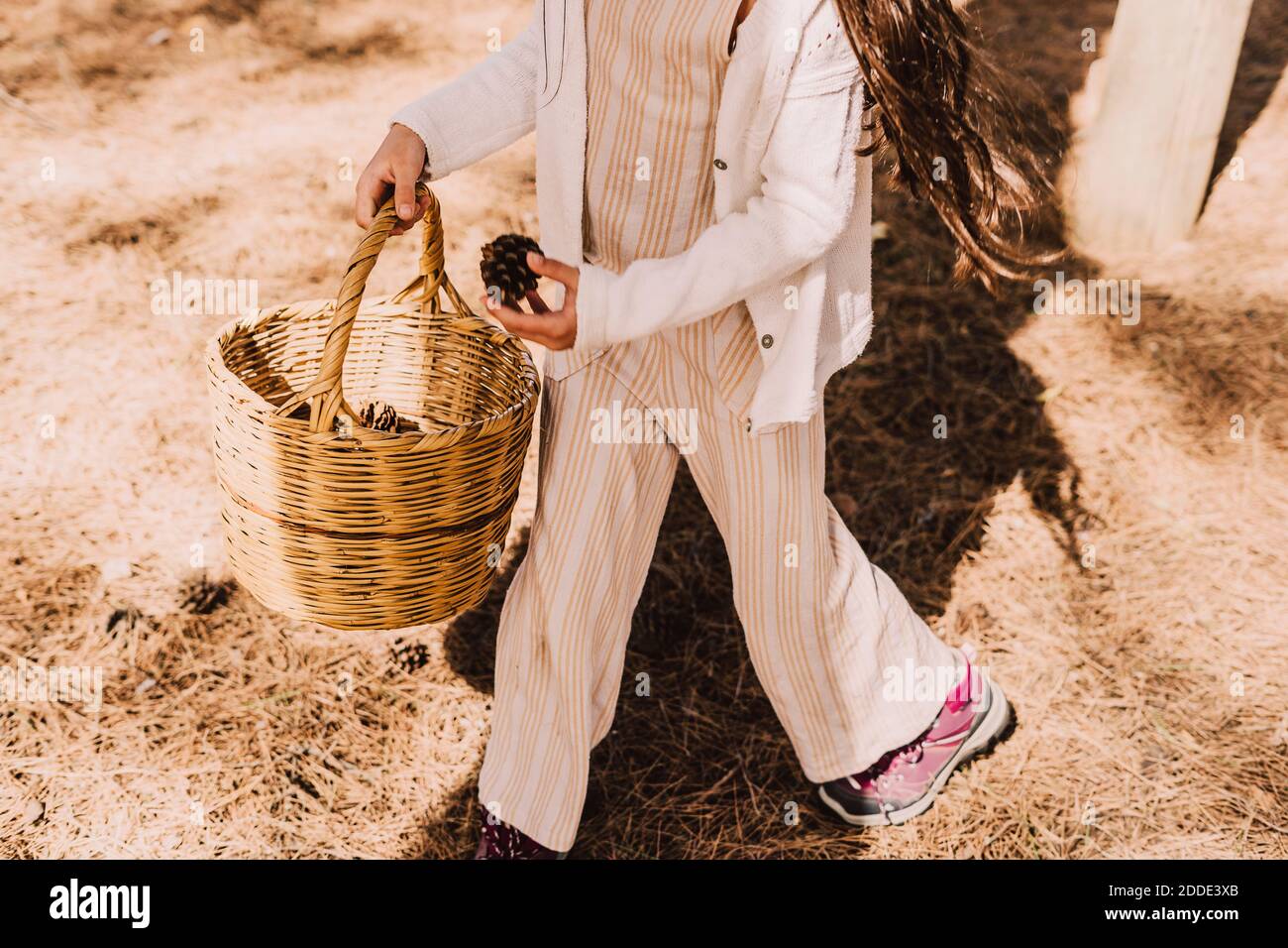 Girl collecting cone hi-res stock photography and images - Alamy