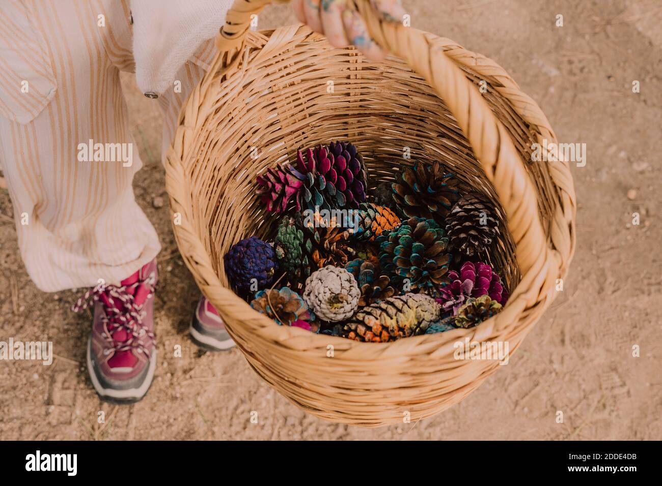 Girl collecting cone hi-res stock photography and images - Alamy