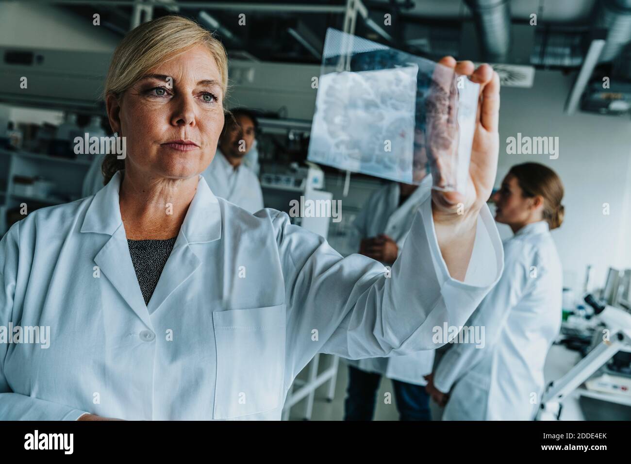Female scientist examining human brain slide while standing with ...