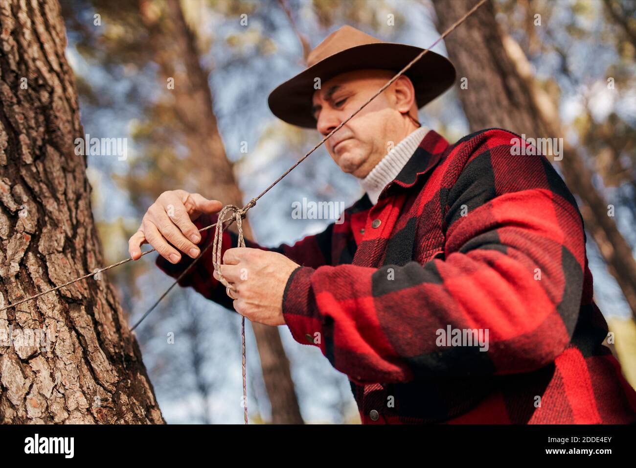 Bushcrafter tying rope to tree bark in forest Stock Photo - Alamy