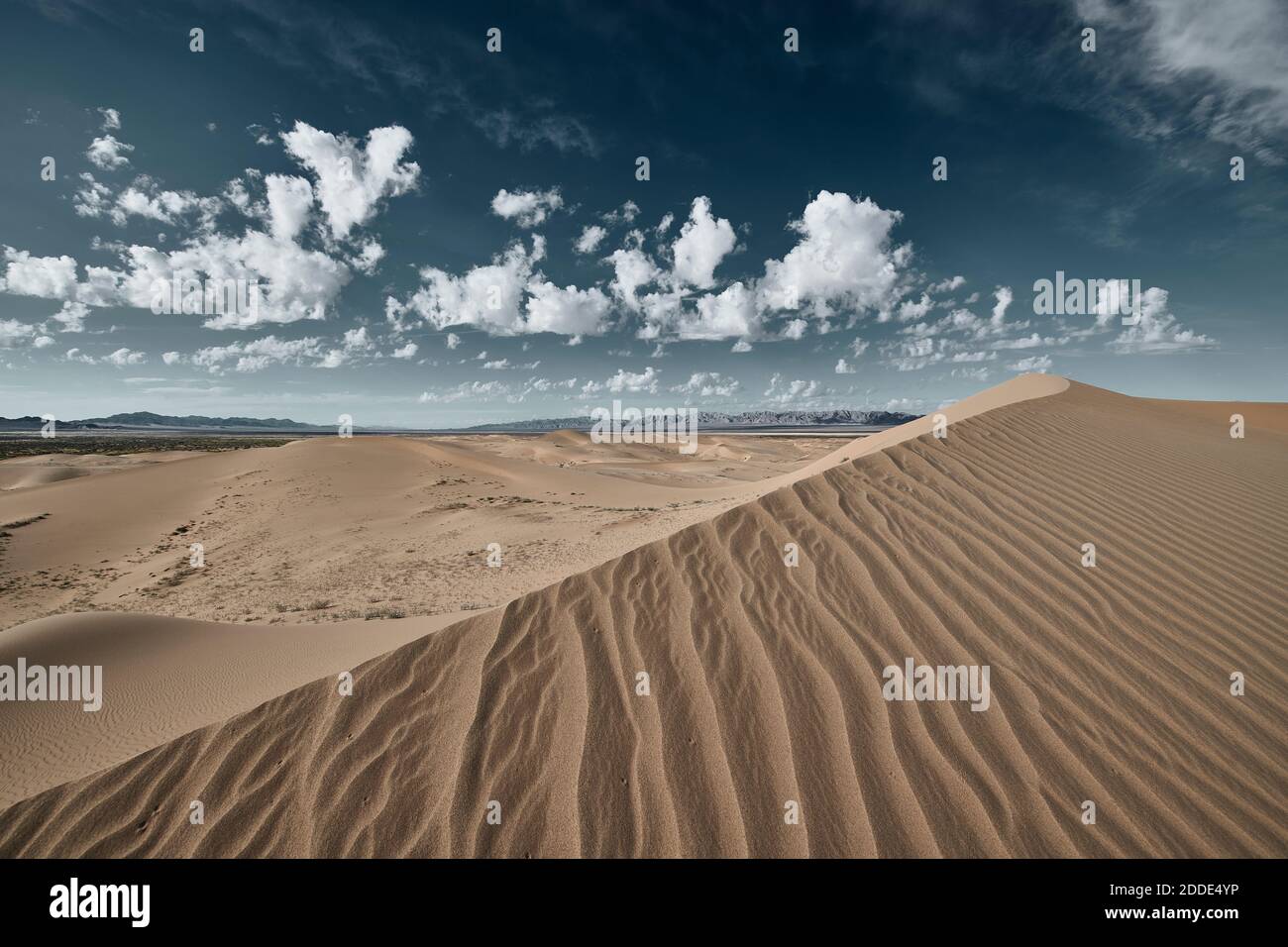 Cadiz Dunes landscape at Mojave Desert, Southern California, USA Stock ...