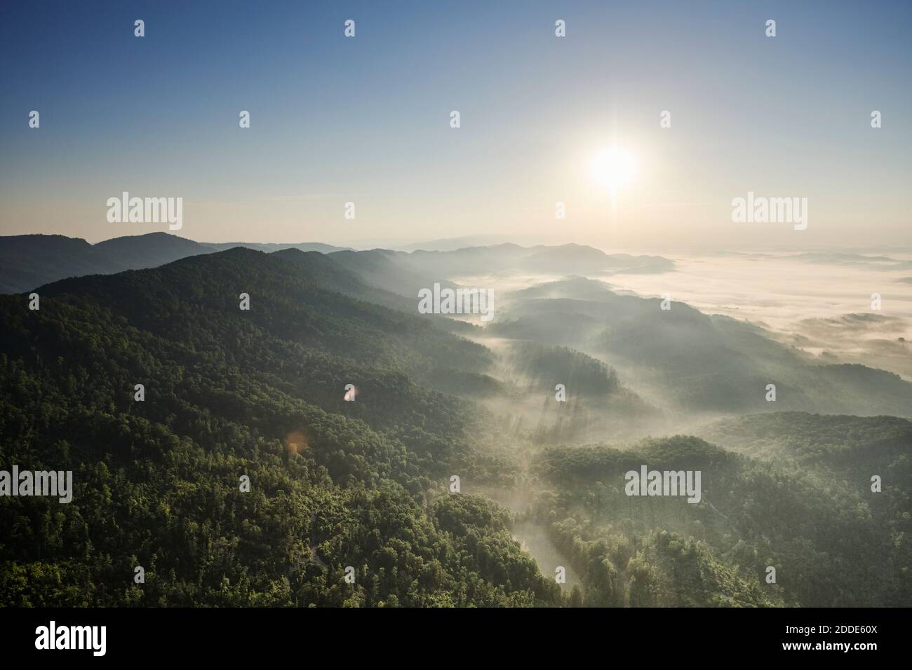 Aerial view of Appalachian forest at foggy sunrise Stock Photo - Alamy
